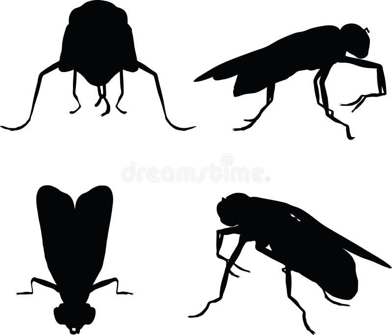 Vector Image - Bug Fly Silhouette on White Background Stock ...