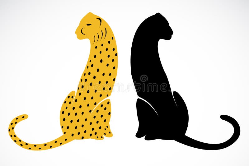 Ferocious Carnivore Baby Leopard Stock Illustrations – 7 Ferocious ...
