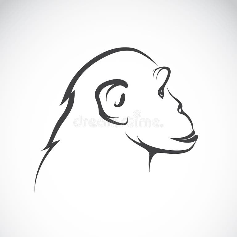 Chimpanzee Line Drawing Stock Illustrations – 1,319 Chimpanzee Line ...