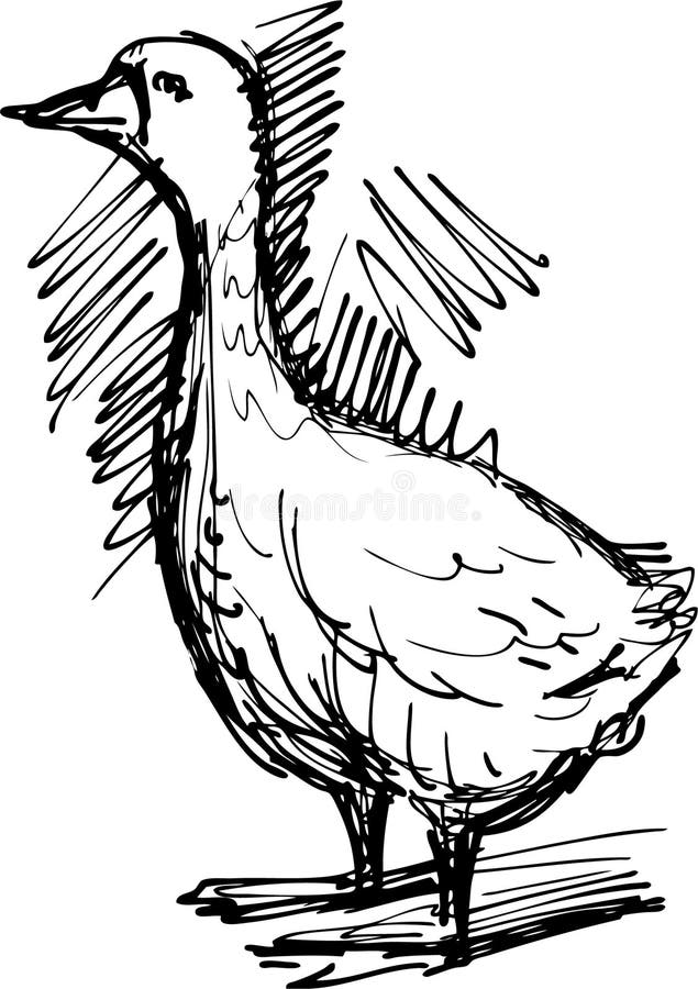 Goose Doodle Stock Illustrations – 844 Goose Doodle Stock Illustrations ...