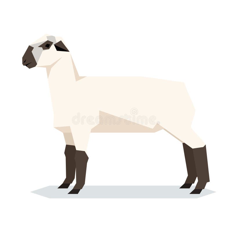 Dorper Sheep Stock Illustrations – 191 Dorper Sheep Stock Illustrations ...
