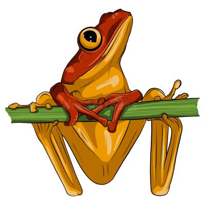 Coqui Frog Stock Illustrations – 20 Coqui Frog Stock Illustrations ...