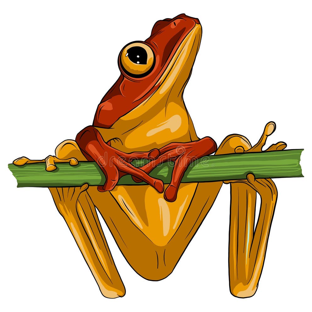 Coqui Frog Stock Illustrations – 18 Coqui Frog Stock Illustrations ...