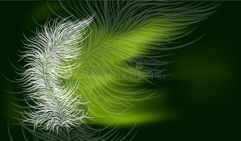 Vector Image in Green Colors and a Transparent Feather Stock Vector ...
