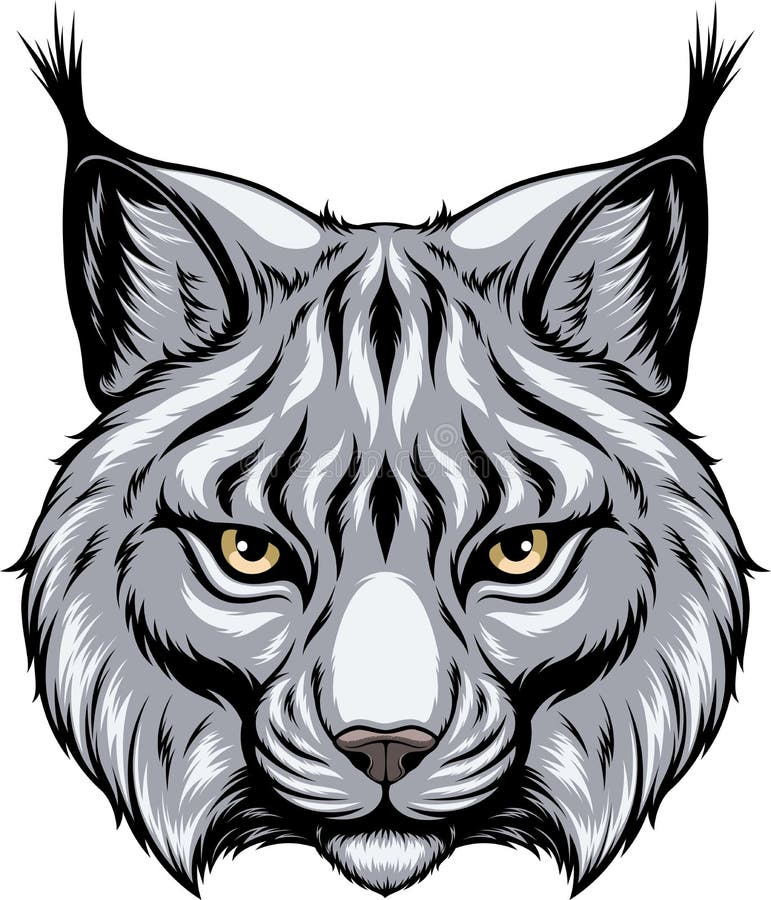 Wildcat Eyes Vector Graphic Stock Illustrations – 1,391 Wildcat Eyes ...