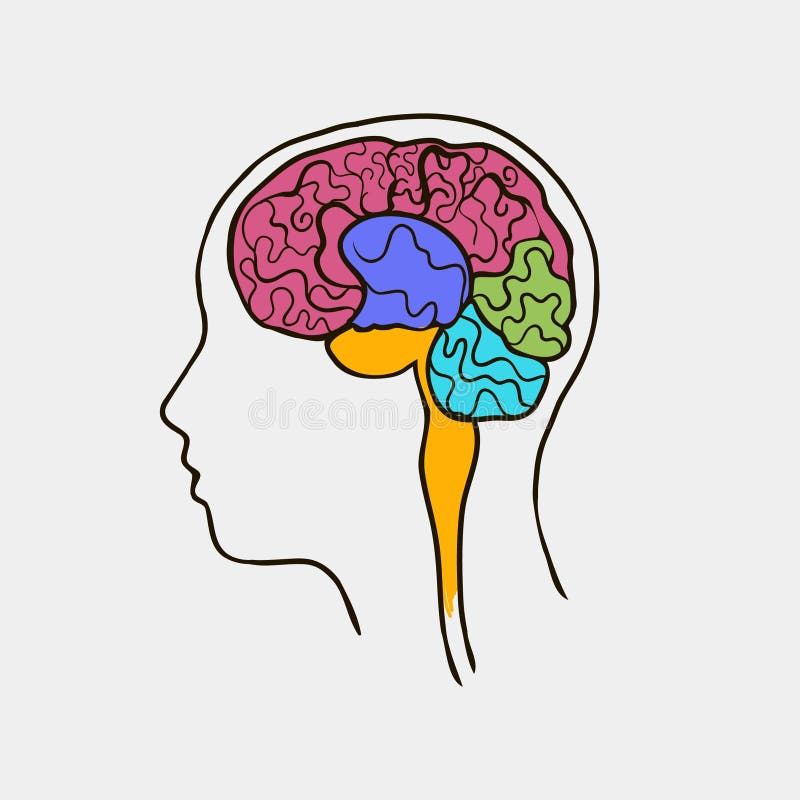 Brain Missing Stock Illustrations – 2,049 Brain Missing Stock ...