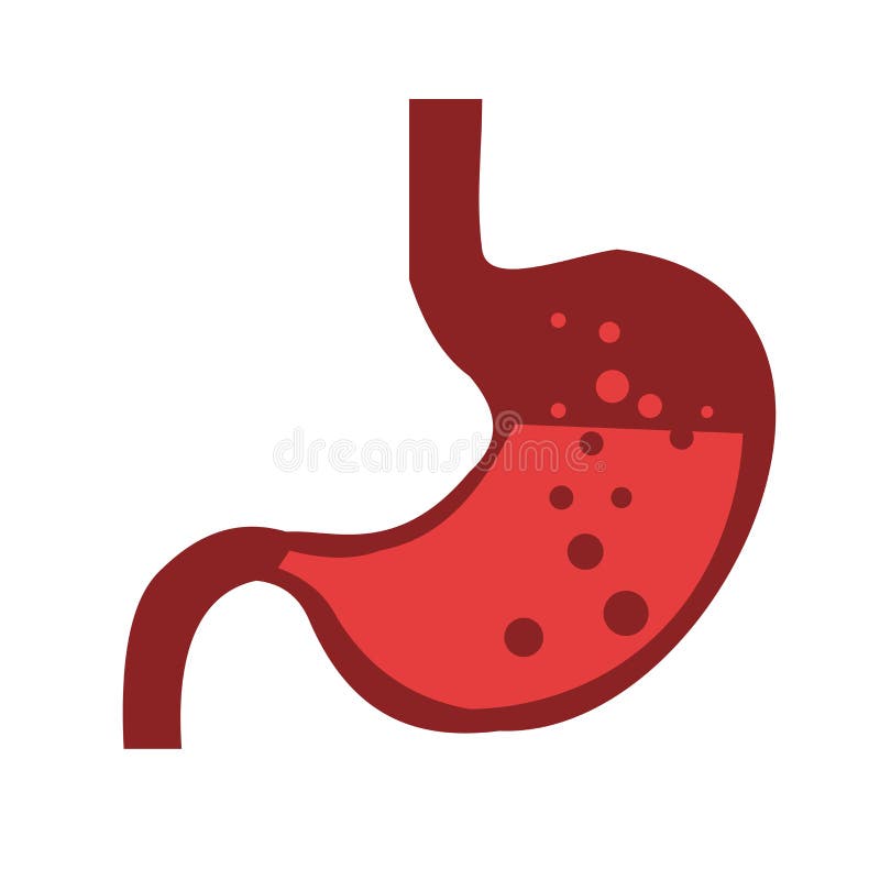 Vector Image of Human Stomach in Red on White Background Stock Vector ...