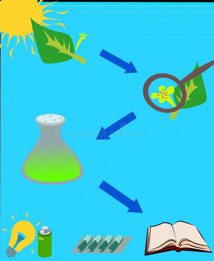 Experimental Design Sequence Stock Illustration - Illustration of ...