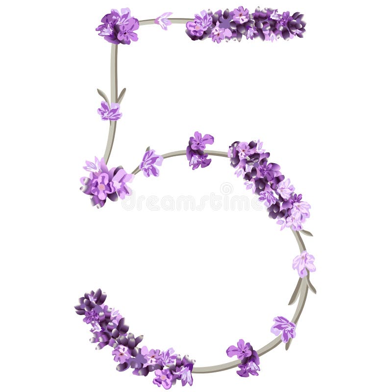 Vector Image of the Number 5 in the Form of Lavender Sprigs in Purple ...