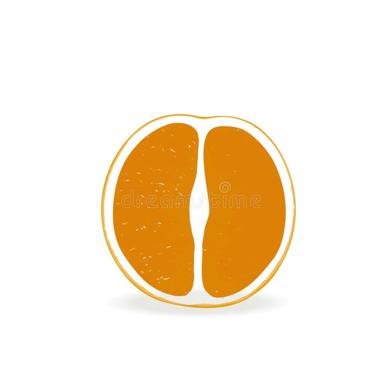 Vector Image of Orange Sliced in Half Vertically Stock Vector ...