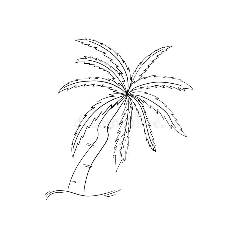 Palm Tree Linear Drawing Stock Illustrations – 1,210 Palm Tree Linear ...
