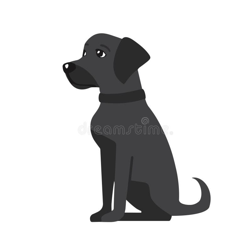The Vector Image Shows a Black Labrador Retriever Standing on a White ...