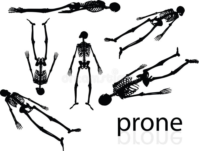 Prone Pose Stock Illustrations – 69 Prone Pose Stock Illustrations ...