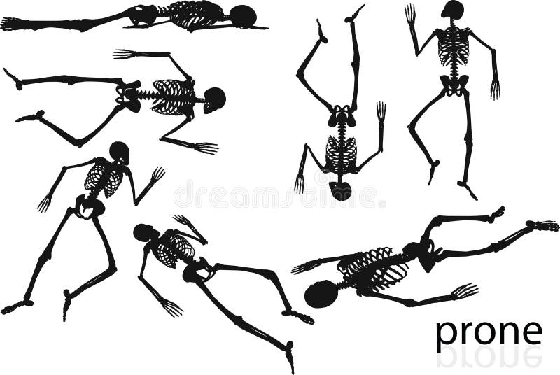 Vector Image - Skeleton Silhouette in Prone Pose on White Background ...