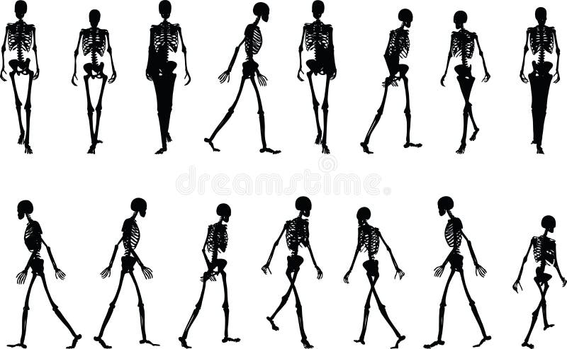 Skeleton Walking Outline Stock Illustrations – 139 Skeleton Walking ...