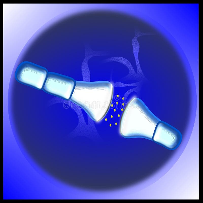 Synaptic Junction Sygnalling Stock Vector - Illustration of neurology ...