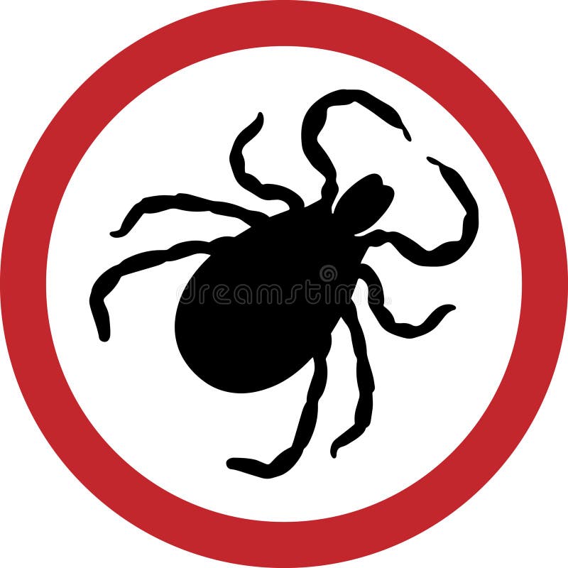 Vector Image of a Tick in a Red Circle. Tick Sign Stock Illustration ...