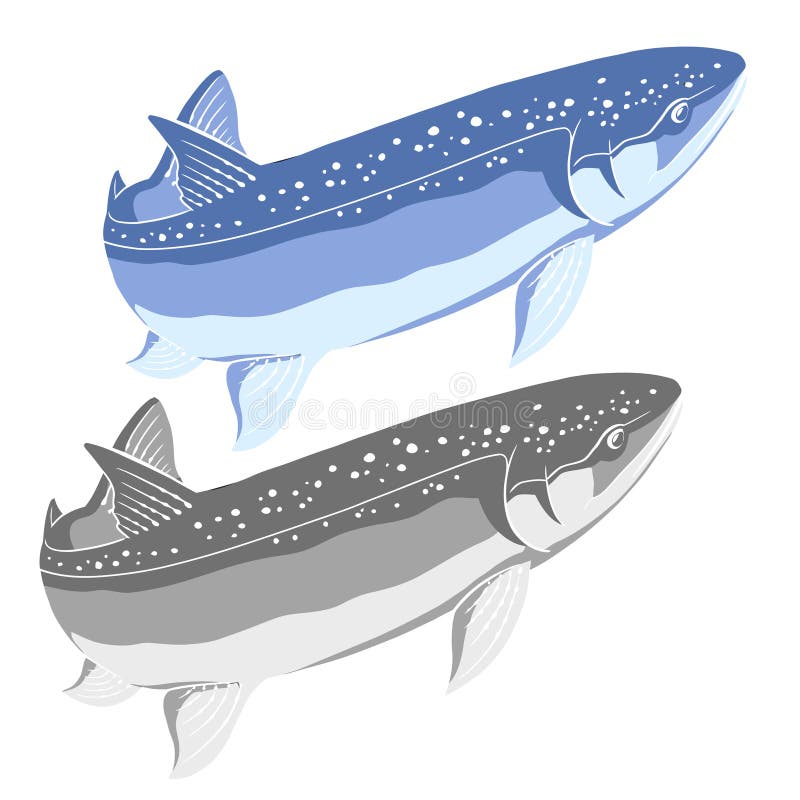 Trout Fish Vector Logo Design Stock Vector - Illustration of oceanfish ...