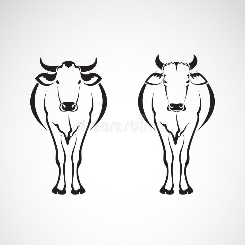 Vector of Two Cows Head Design on a White Background. Animals Farm ...
