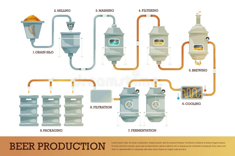 Beer Brewing Process Infographic. Flat Style Stock Vector ...