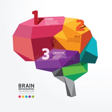 Vector Infographic Brain Design Conceptual Polygon Style. Stock Vector ...