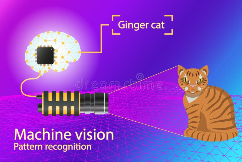 Vector Infographic - Computer Vision and Pattern Recognition Stock ...