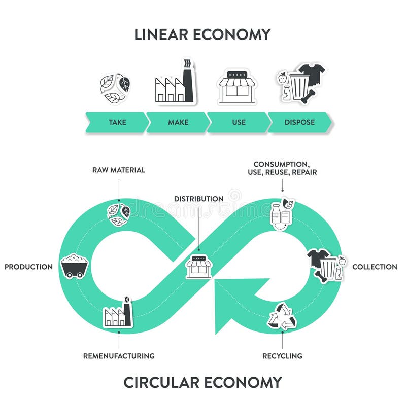 The Vector Infographic Diagram of the Difference between the Circular ...