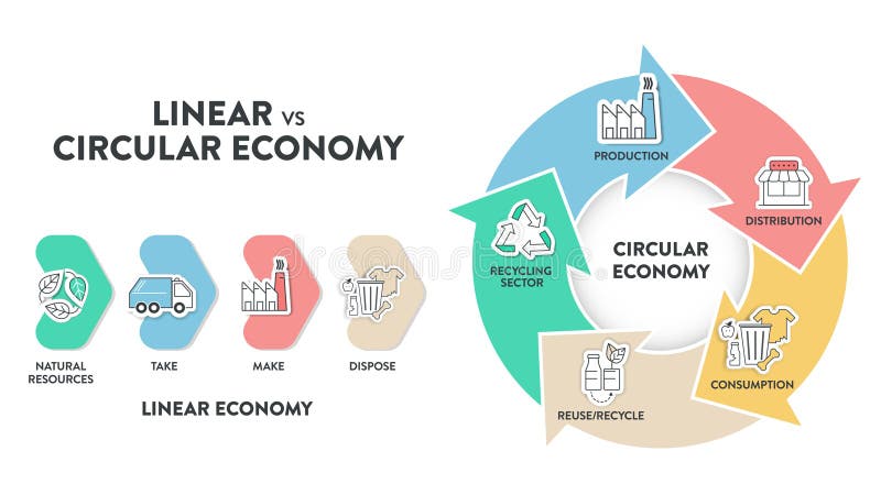 Circular Economy Infographic Diagram Has 6 Steps To Analyse Such As ...