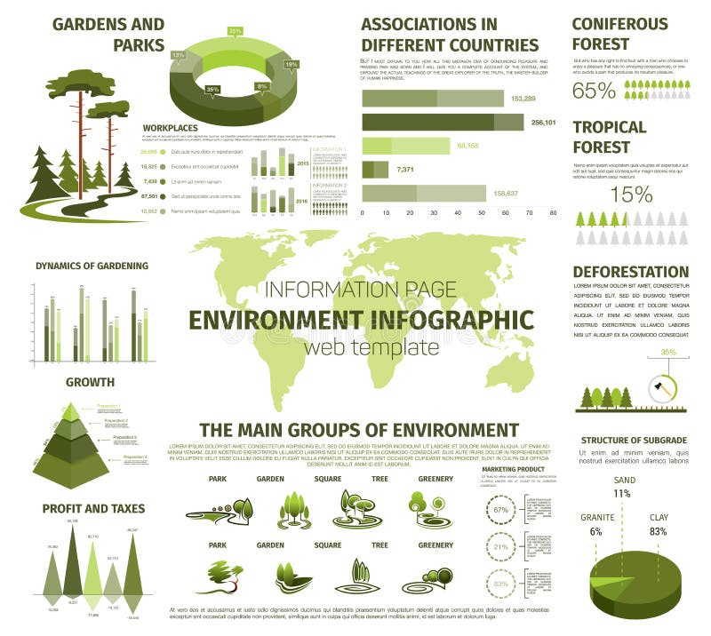 Vector Infographic Voor Bos En Groene Aard Vector Illustratie ...