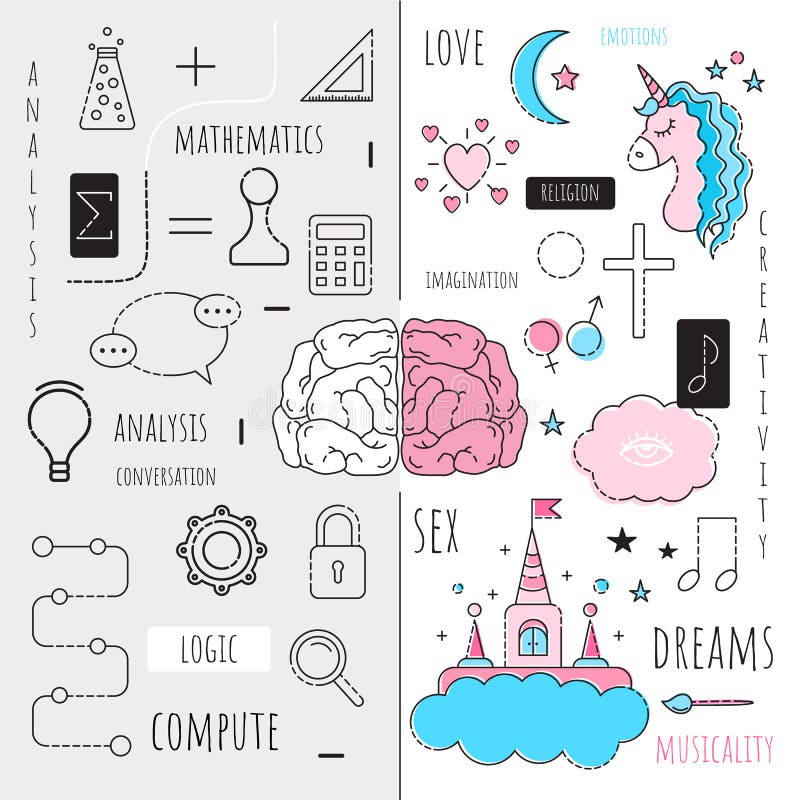 Vector Infographics the Left and Right Hemisphere of the Brain ...