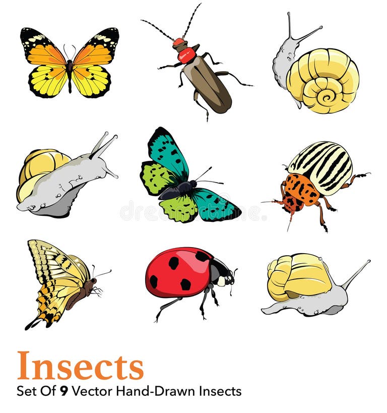 Potato Insects Stock Illustrations – 512 Potato Insects Stock ...
