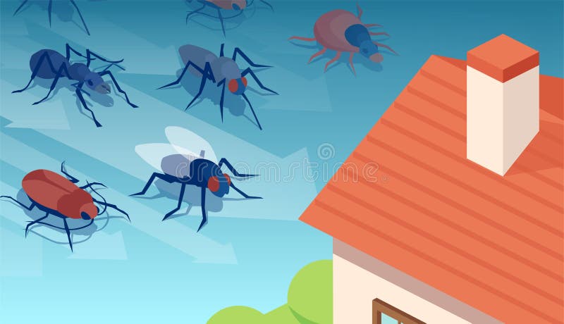 Vector of Insects Invading Residential House Stock Illustration ...