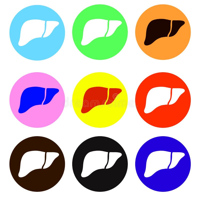Vector Internal Organs Icons Set. Liver of Different Colors Stock ...