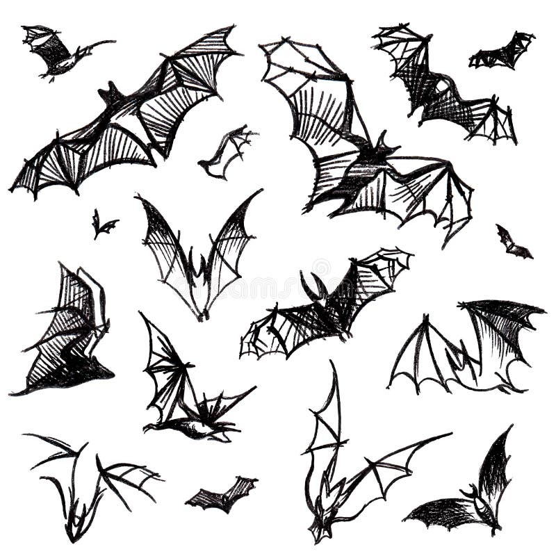 Bats Flying Away