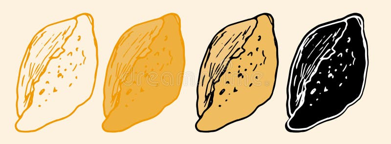 Vector Isolated Bread Element Oval Shape with Sharp Edges, Top View and ...