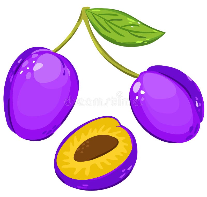 Cartoon Purple Plums Stock Illustrations – 239 Cartoon Purple Plums ...