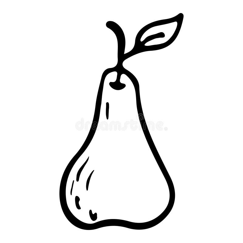 Vector Isolated Doodle Illustration of Pear Fruit in Outline Style ...