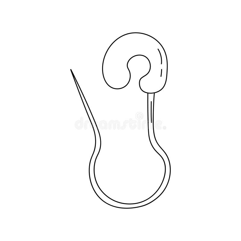 Vector Isolated Doodle One Small Simple Open Safety Pin Easy Drawing ...