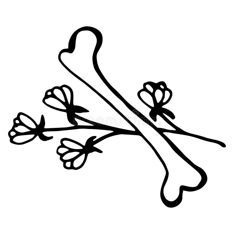 Vector Isolated Element, Anatomy, Bone with Flower. Stock Vector ...