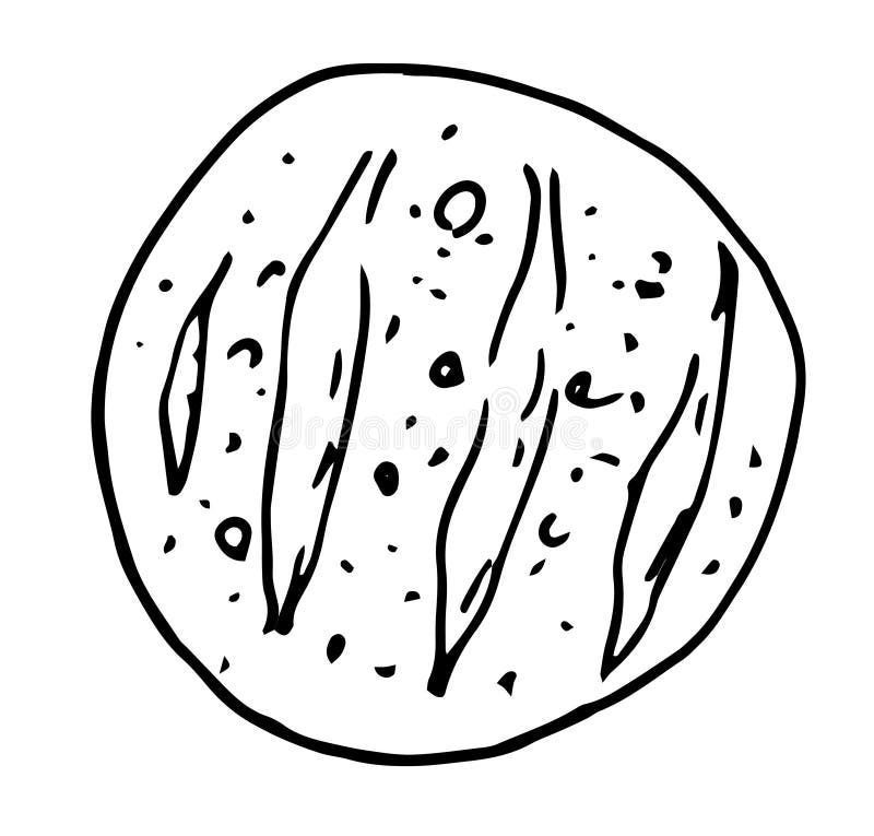 Vector Isolated Element of the Round Bread on Top , and Drawn in Doodle ...
