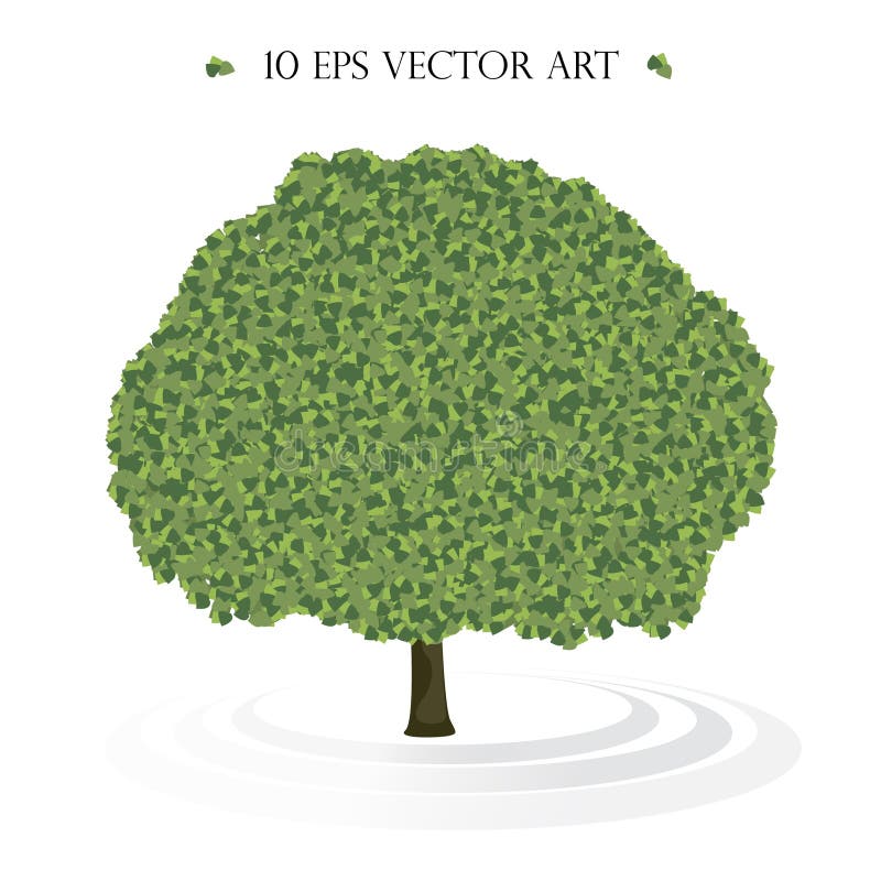 Vector isolated green tree stock vector. Illustration of summer - 107836289