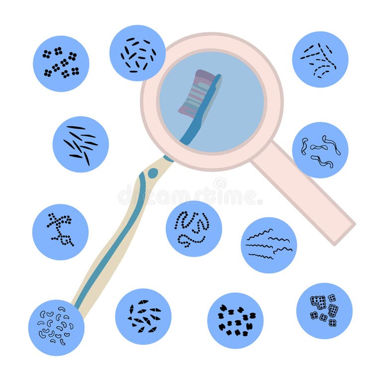 Vector Isolated Illustration of Bacteria on a Toothbrush. Frequency of ...