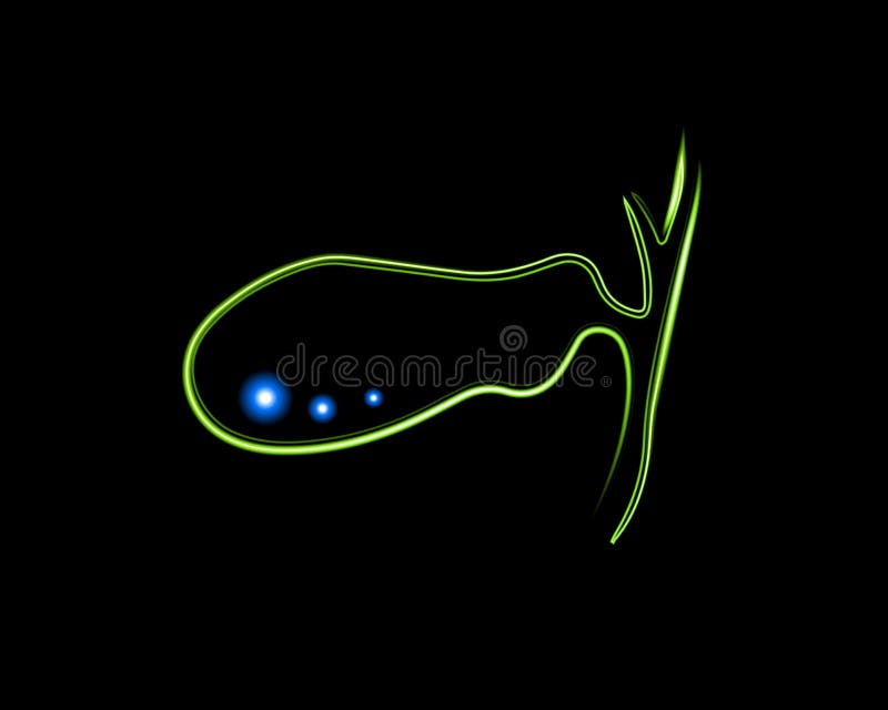 Vector Isolated Illustration of Gall Bladder with Neon Effect. Stock ...