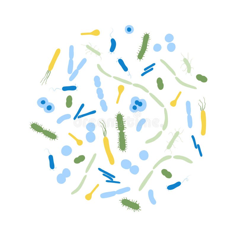 Vector Illustration of Pathogenic Bacteria Stock Vector - Illustration ...