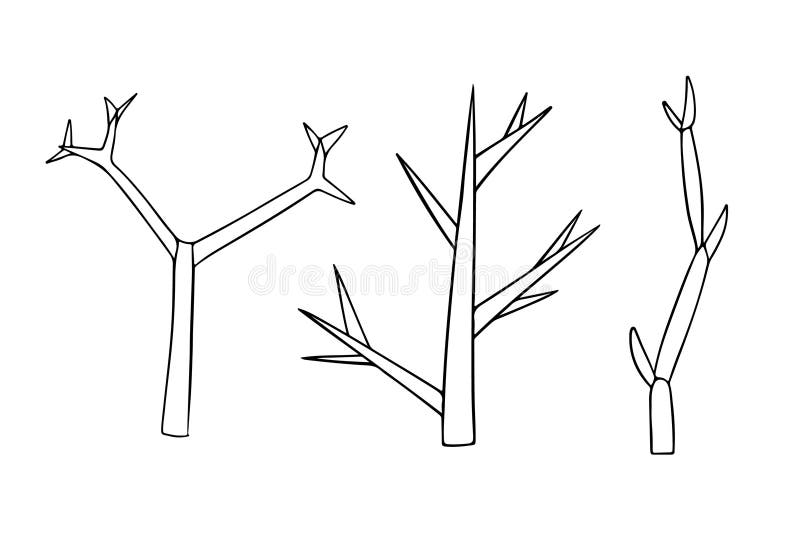 Branching Types Stock Illustrations – 14 Branching Types Stock ...