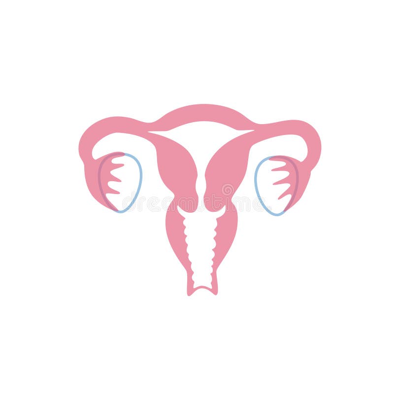 Vector Isolated Illustration Of Uterus Stock Vector Illustration Of