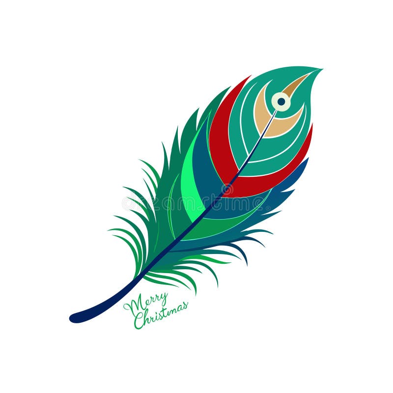 Peacock Feather Vector Peacock Feather Vector Image