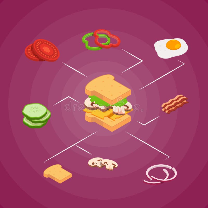 Vector Isometric Burger Ingredients Infographic Concept Illustration ...