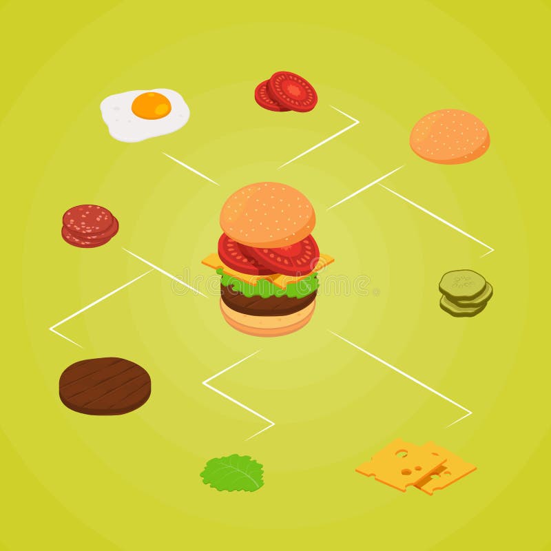 Vector Isometric Burger Ingredients Infographic Illustration Color ...