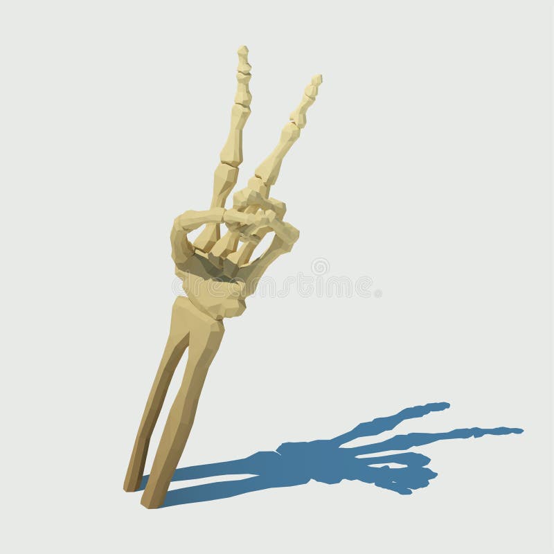 Low Poly Skeleton of Human Hand Isolated on White Background. 3D Stock ...